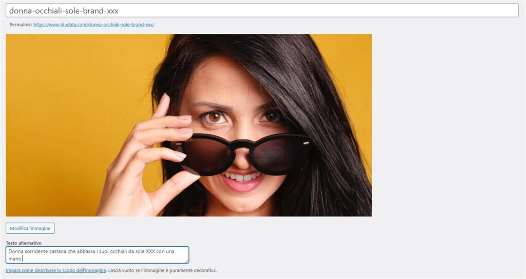 Accessibilità web: il testo alternativo - Bludata Informatica